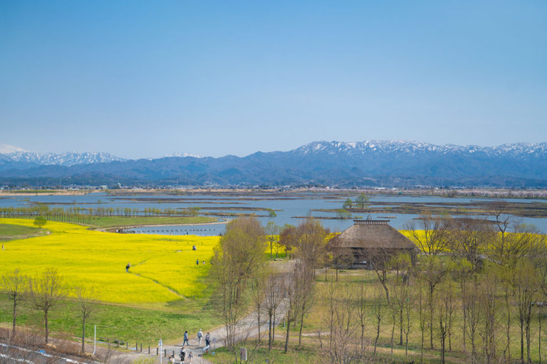 NIIGATA CITY OFFICIAL TRAVEL GUIDE | Niigata Visitors & Convention ...